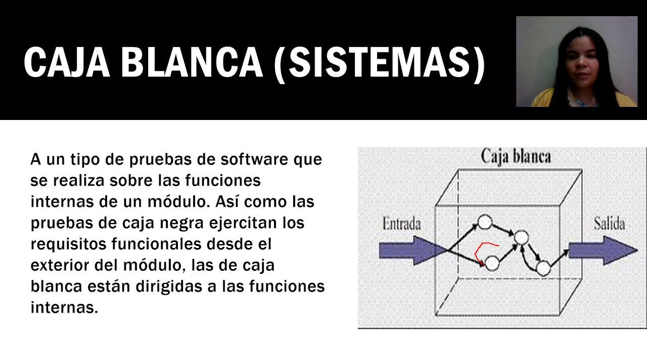 Tipos de Pruebas de Software: Caja Blanca